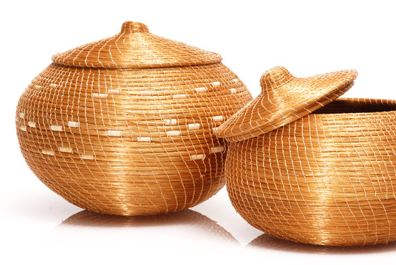 Capim dourado - Cerratinga